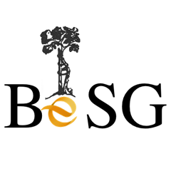 BeSG - Belgian Sarcoma Group | bvot